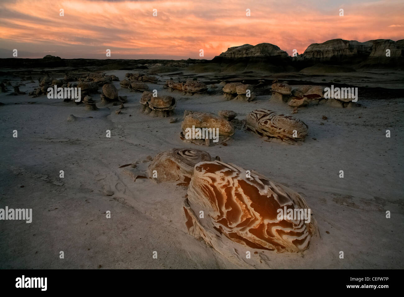 Strange rock formation in The Bisti Badlands in north western New ...