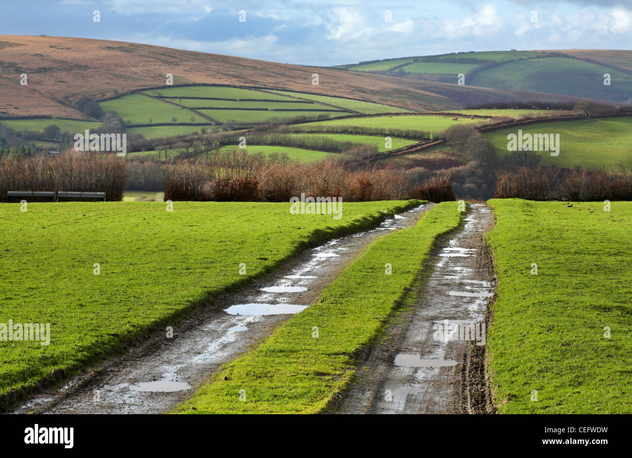 Simonsbath hi-res stock photography and images - Alamy