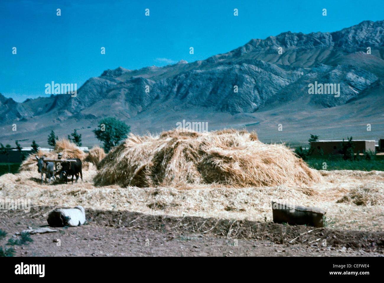 Threshing sledge hi-res stock photography and images - Alamy