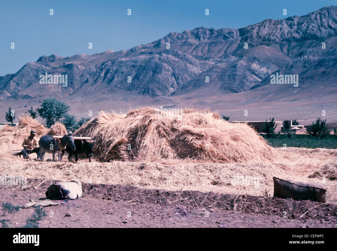 Threshing sledge hi-res stock photography and images - Alamy