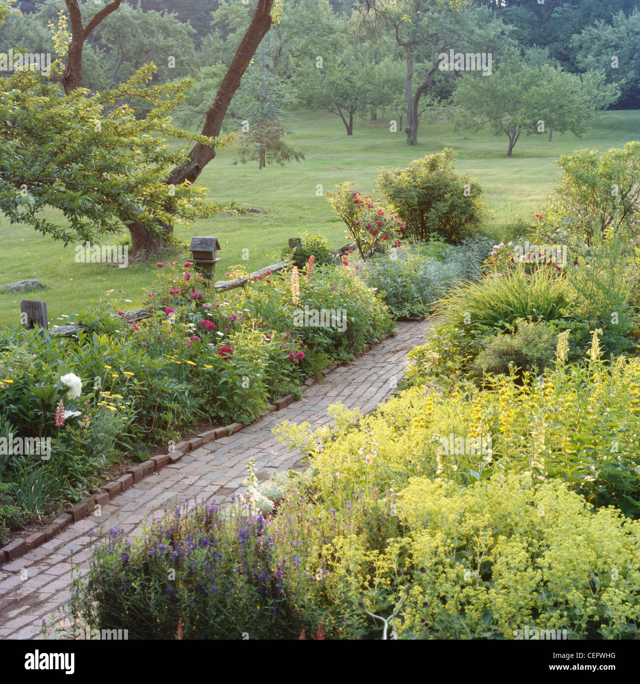 Old brick path through flowering borders in cottage-style part of large ...