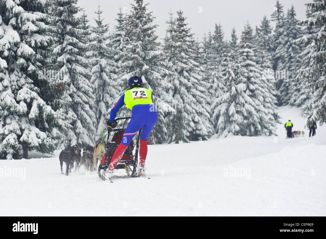 Teamwork mushing hi-res stock photography and images - Alamy