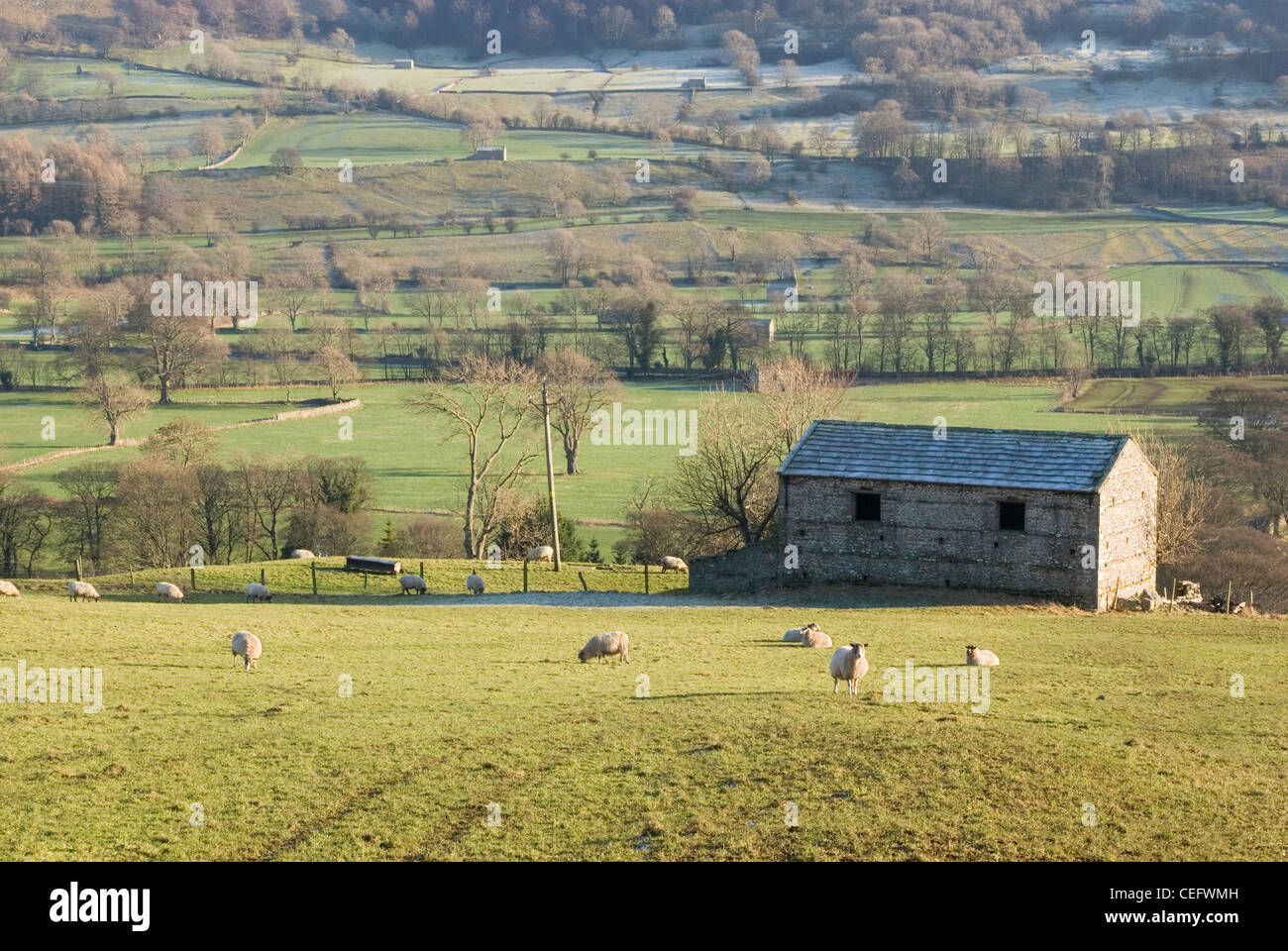 Wensleydale in winter Stock Photo - Alamy