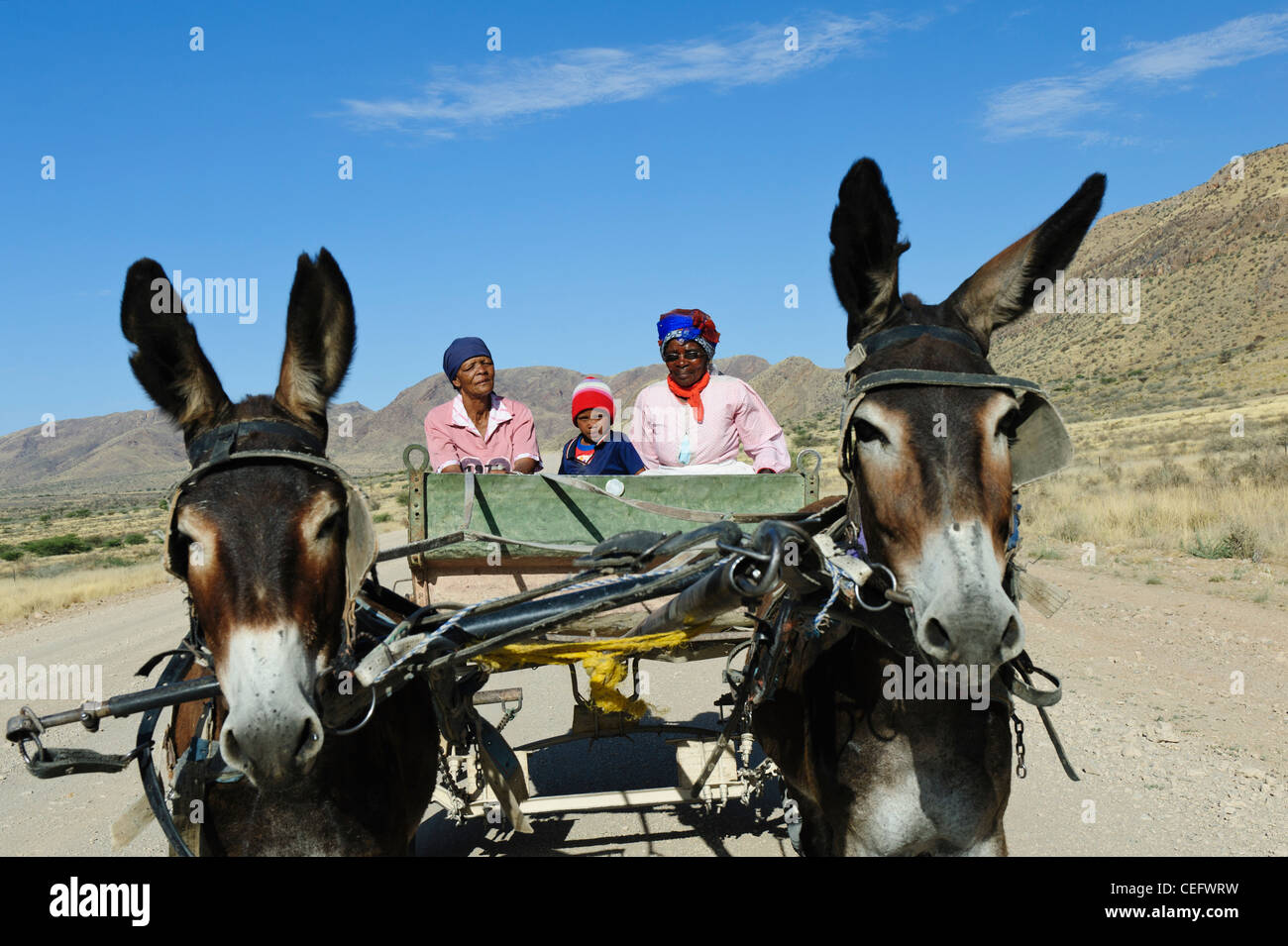 Riding a donkey cart hi-res stock photography and images - Alamy