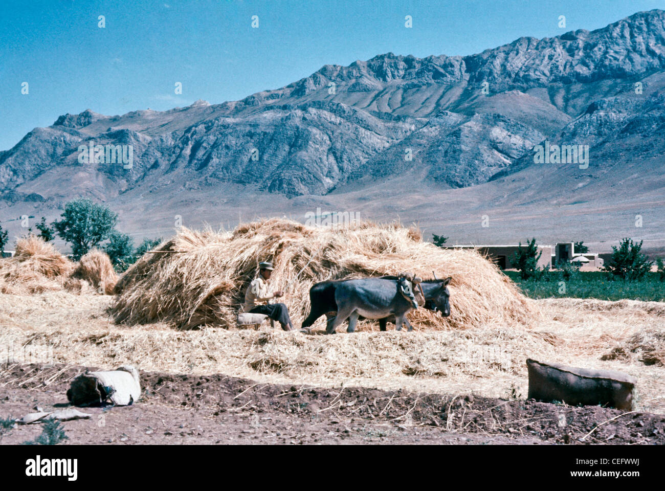 Threshing sledge hi-res stock photography and images - Alamy