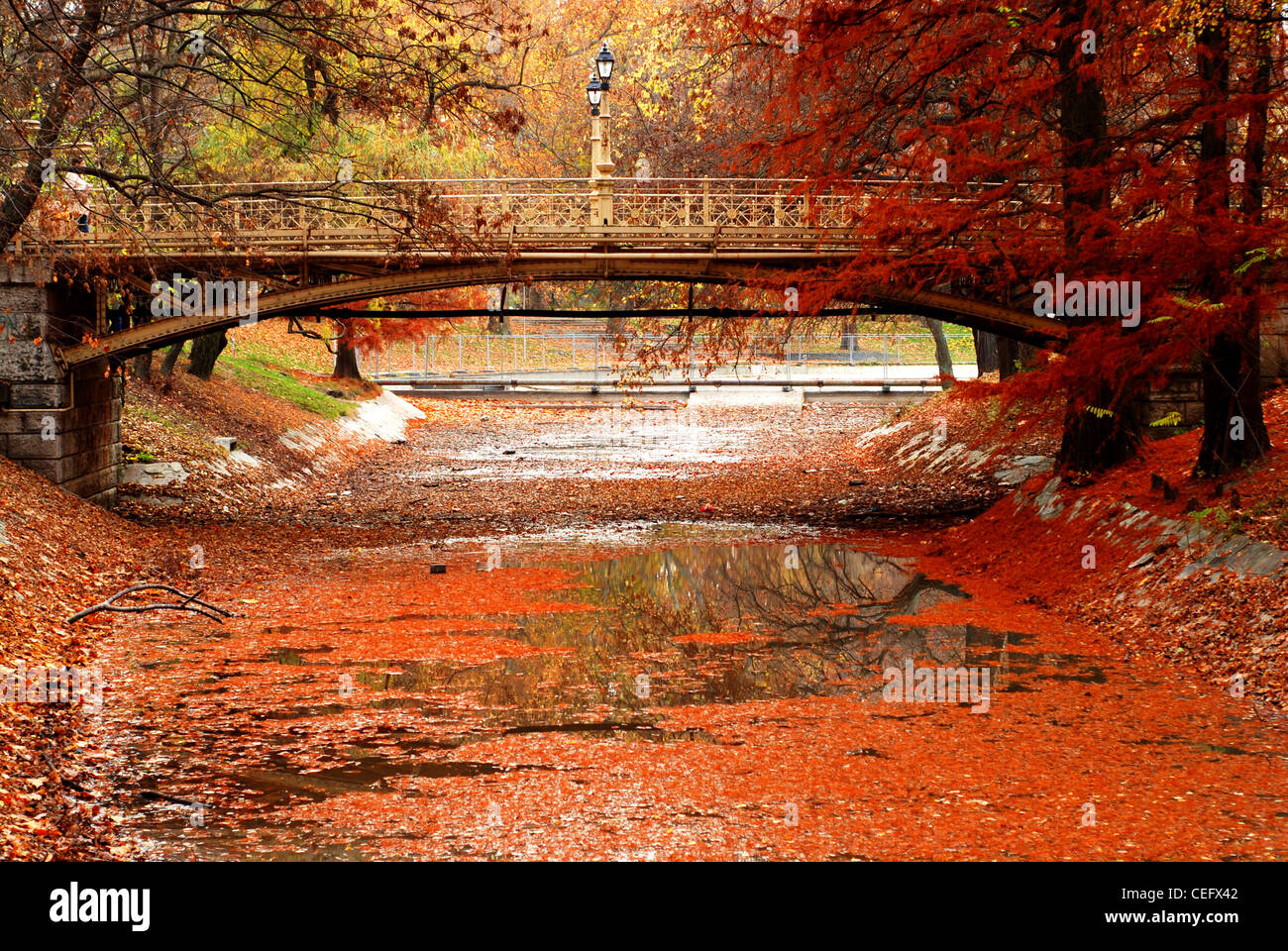 Park foot bridge hi-res stock photography and images - Alamy