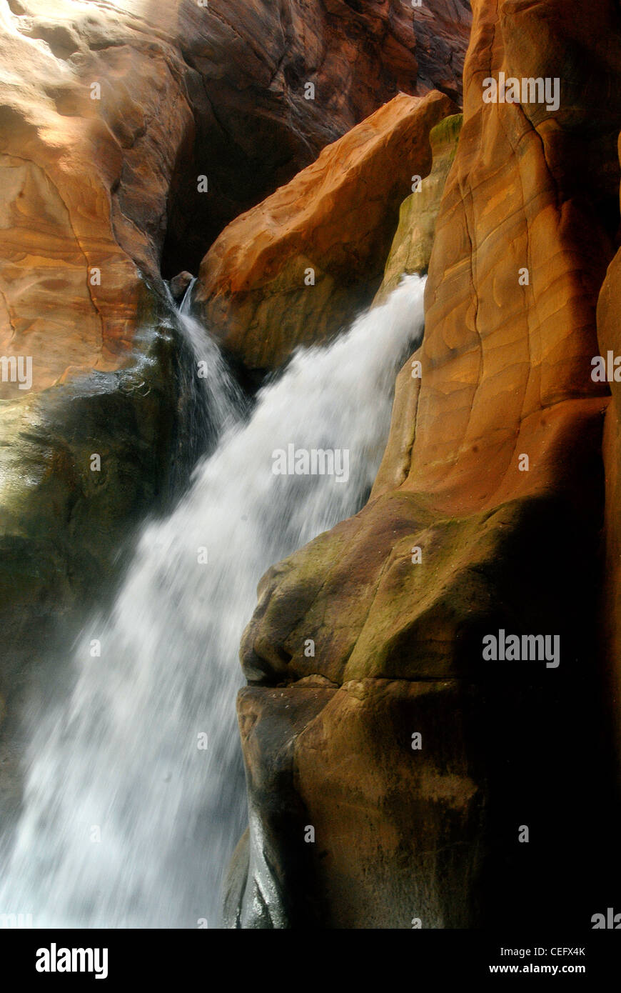 Waterfall in the Moab (Moav) canyons of Jordan. Warm spring water flows ...