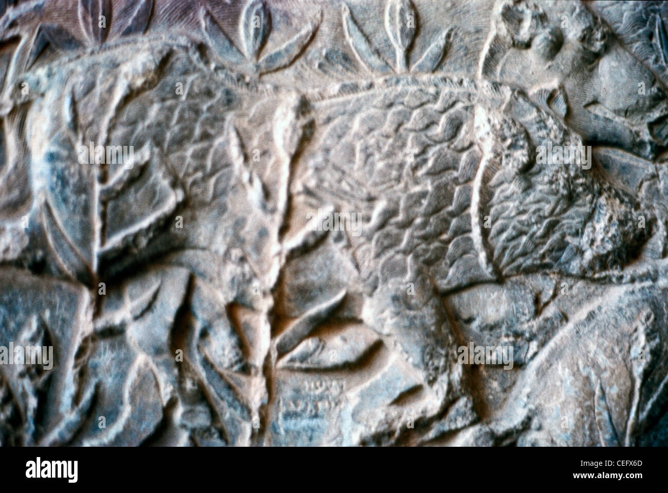 IRAN, KERMANSHAH: Bas-relief carving of a boar hunt from Taq-i-Bustan ...