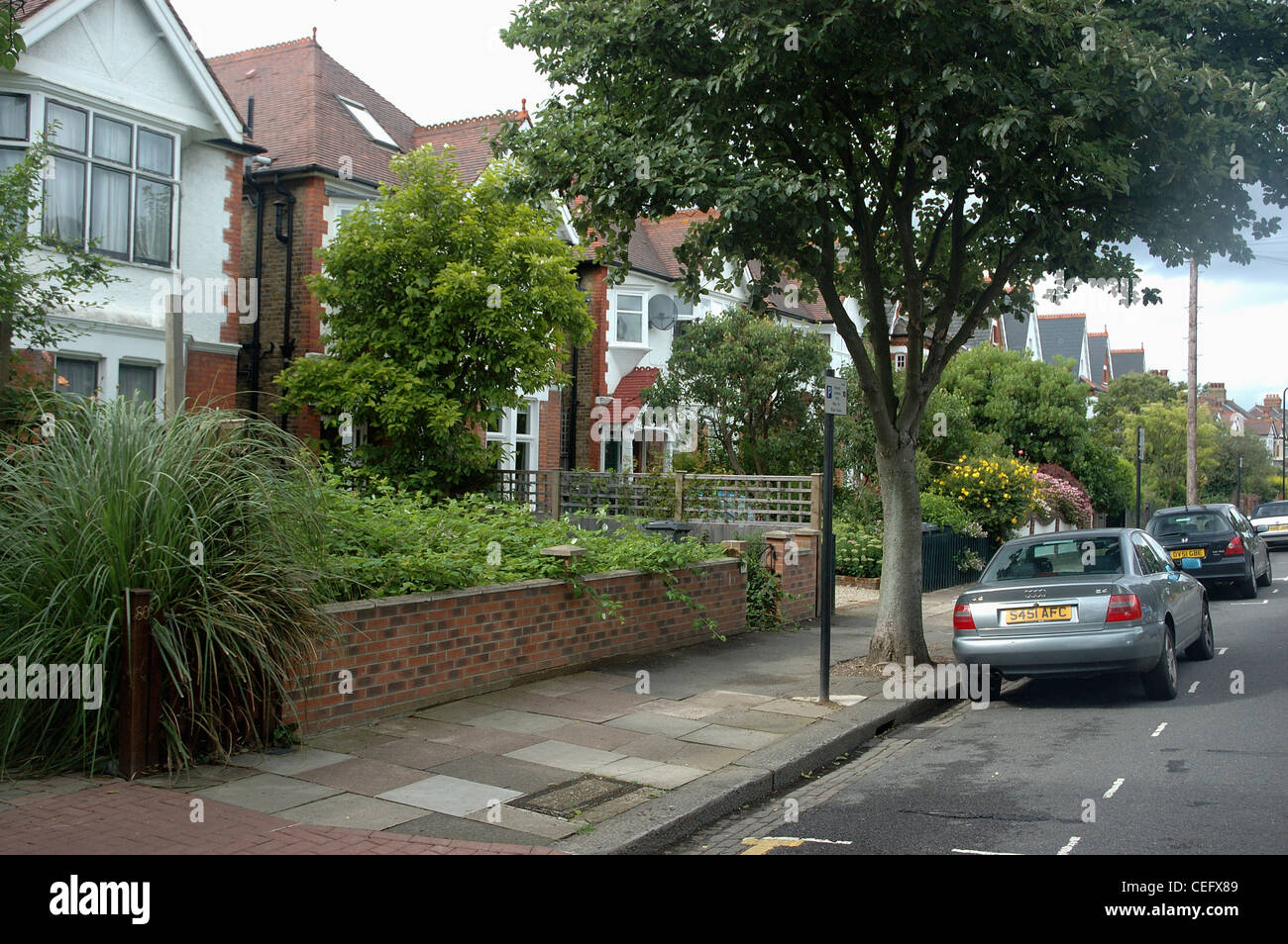 Large tree on pavement and grasses in front garden of traditional house ...