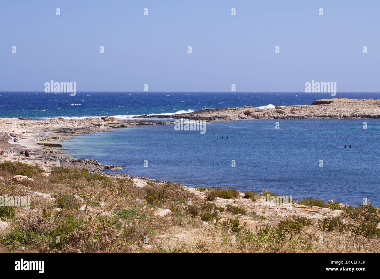 Dangerous for the scuba divers hi-res stock photography and images - Alamy