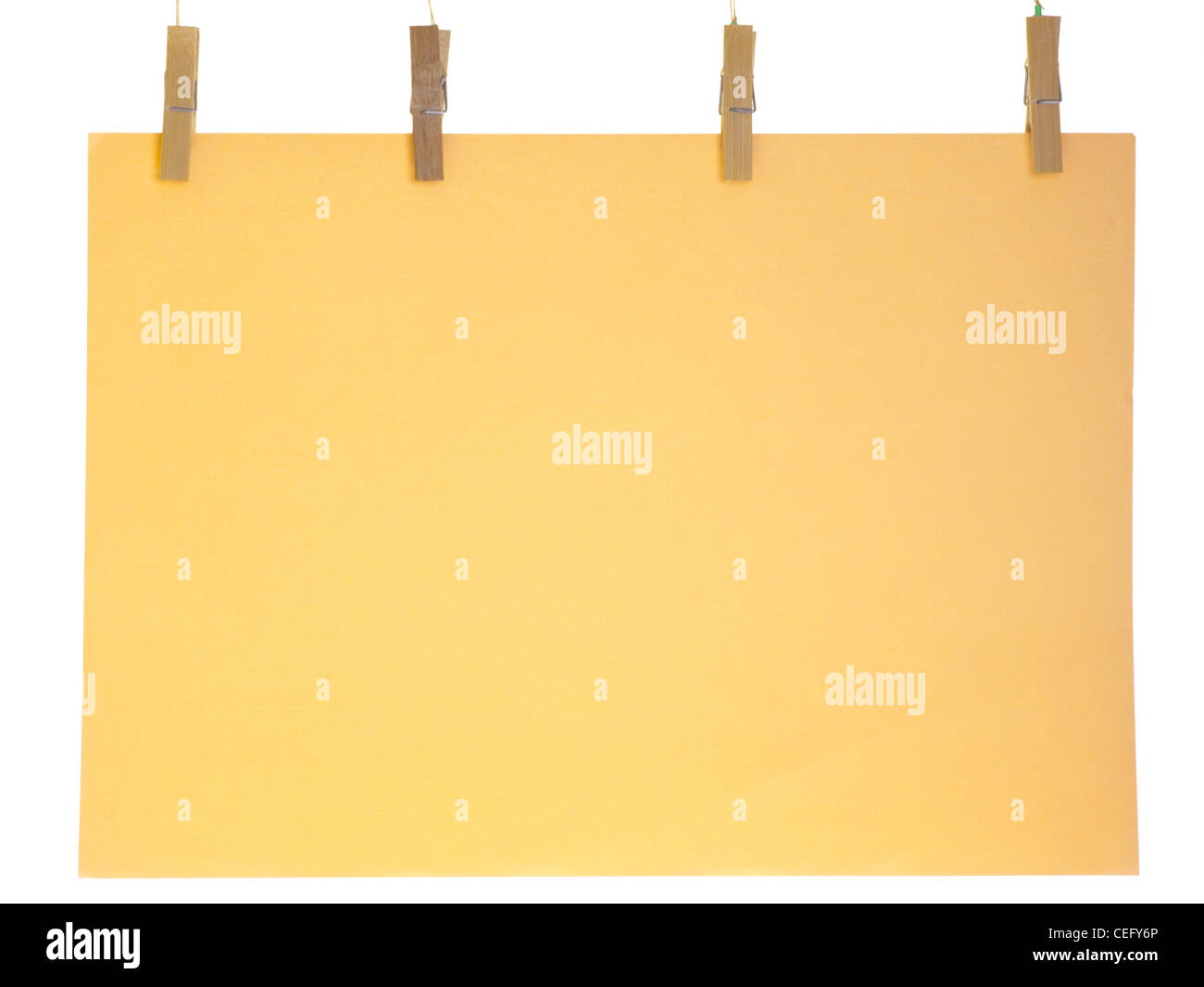 Orange blank paper sheet on a clothes line. Isolated on white ...