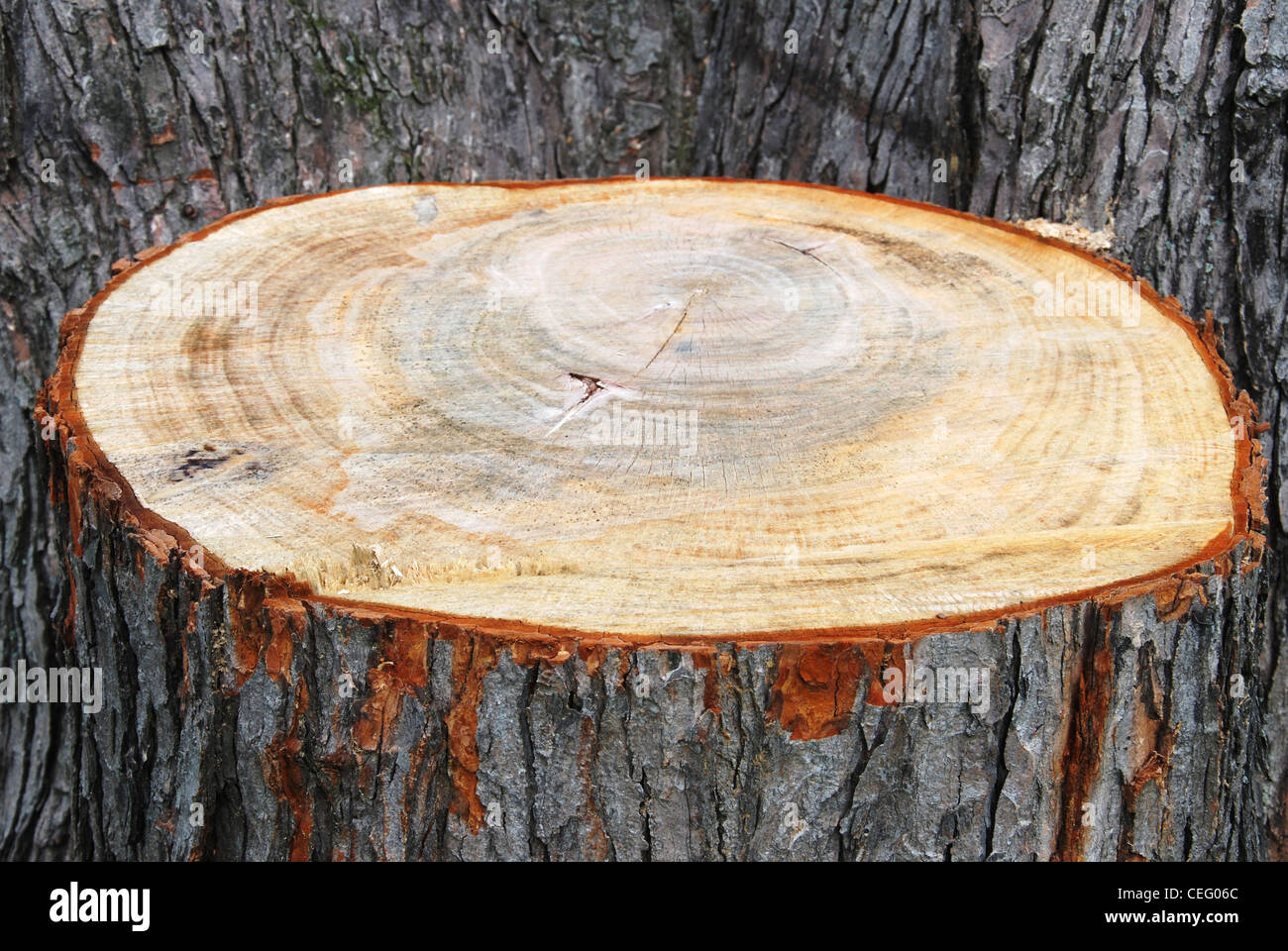 Cross and circle hi-res stock photography and images - Alamy