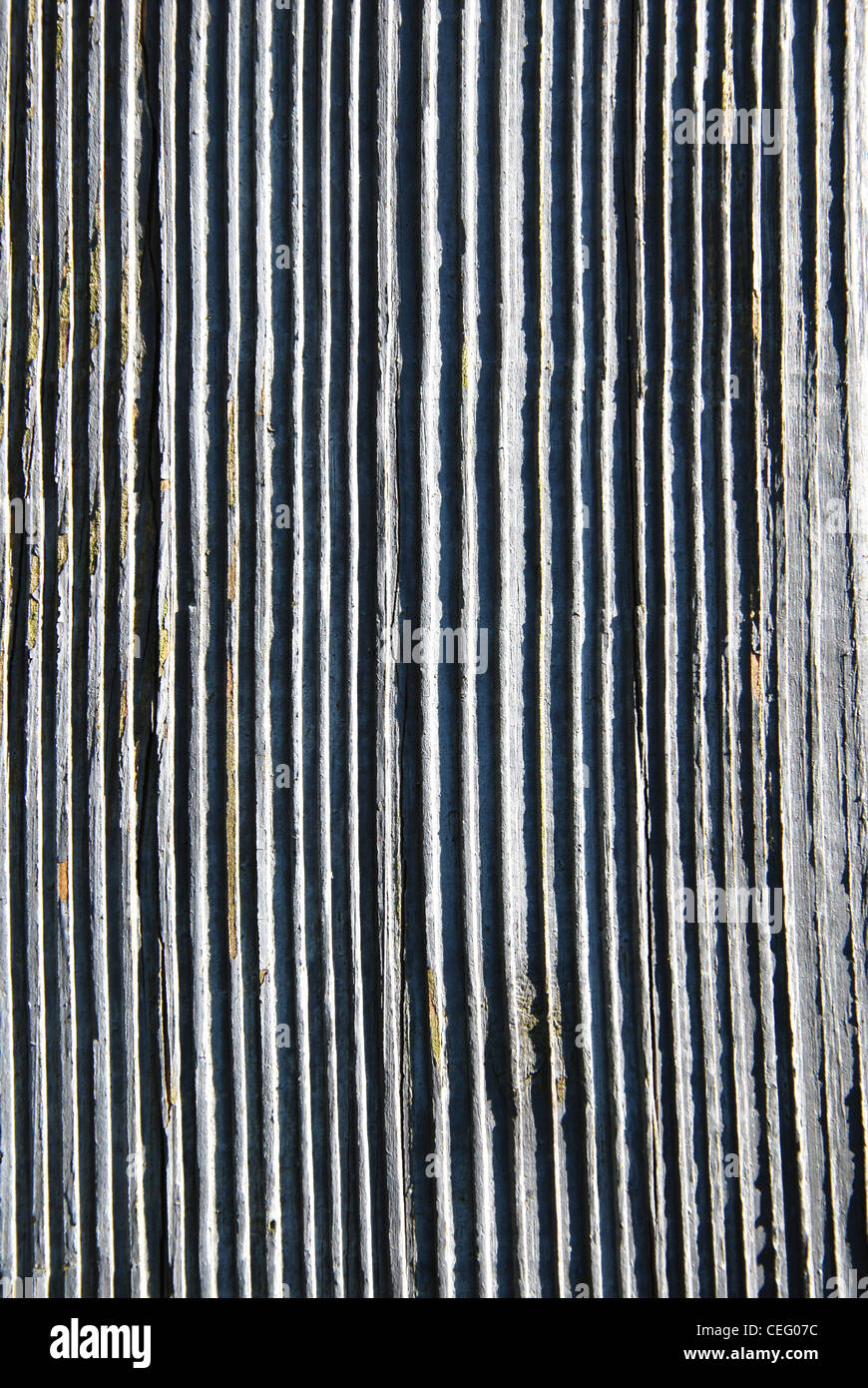 Tree limb decay hi-res stock photography and images - Alamy