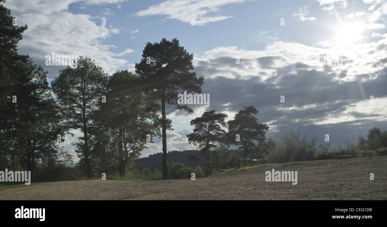 Holmbury St Mary, Surrey. Surrey Hills, Woodland, view of Surrey Stock ...