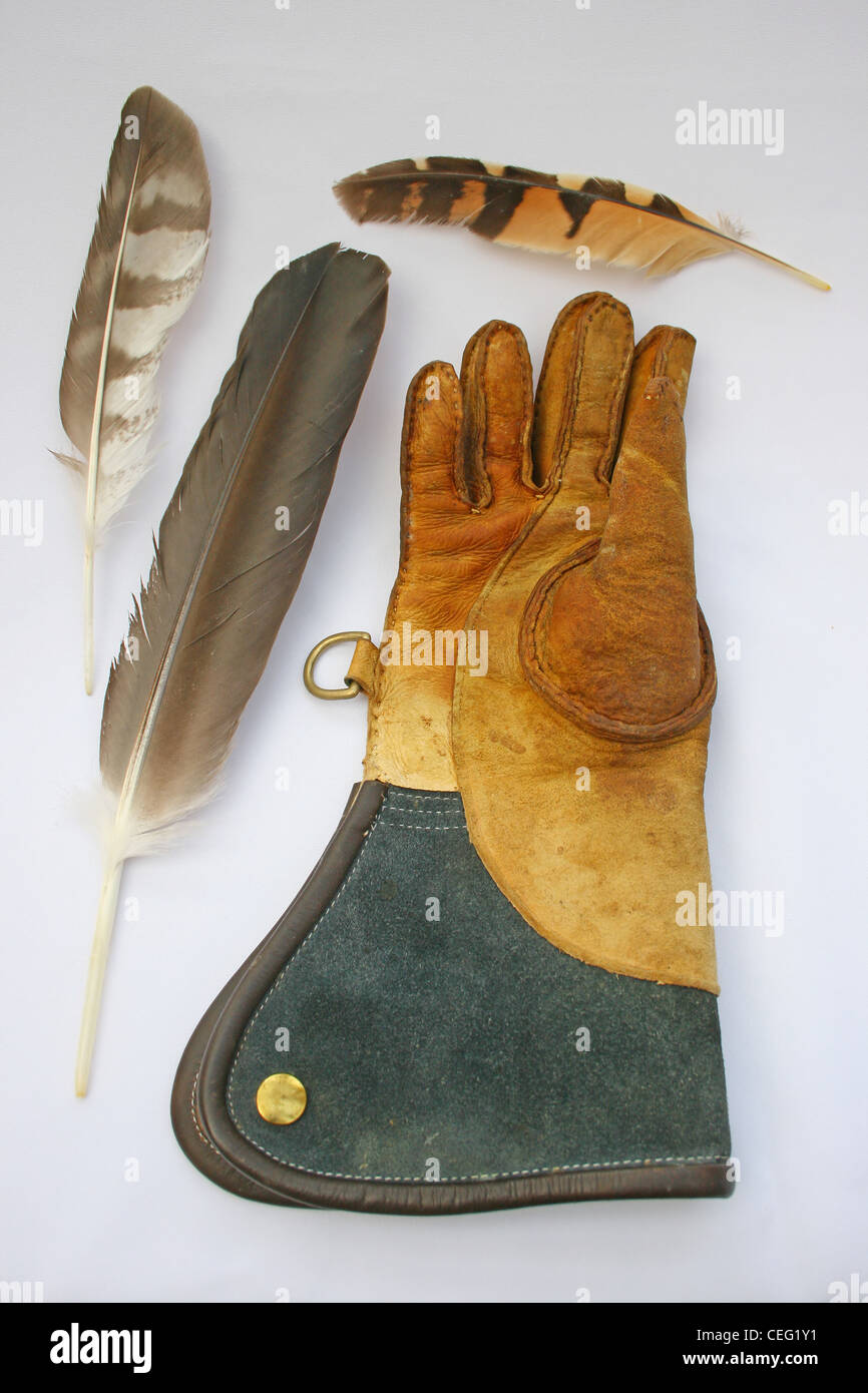 Falconry equipment hi-res stock photography and images - Alamy