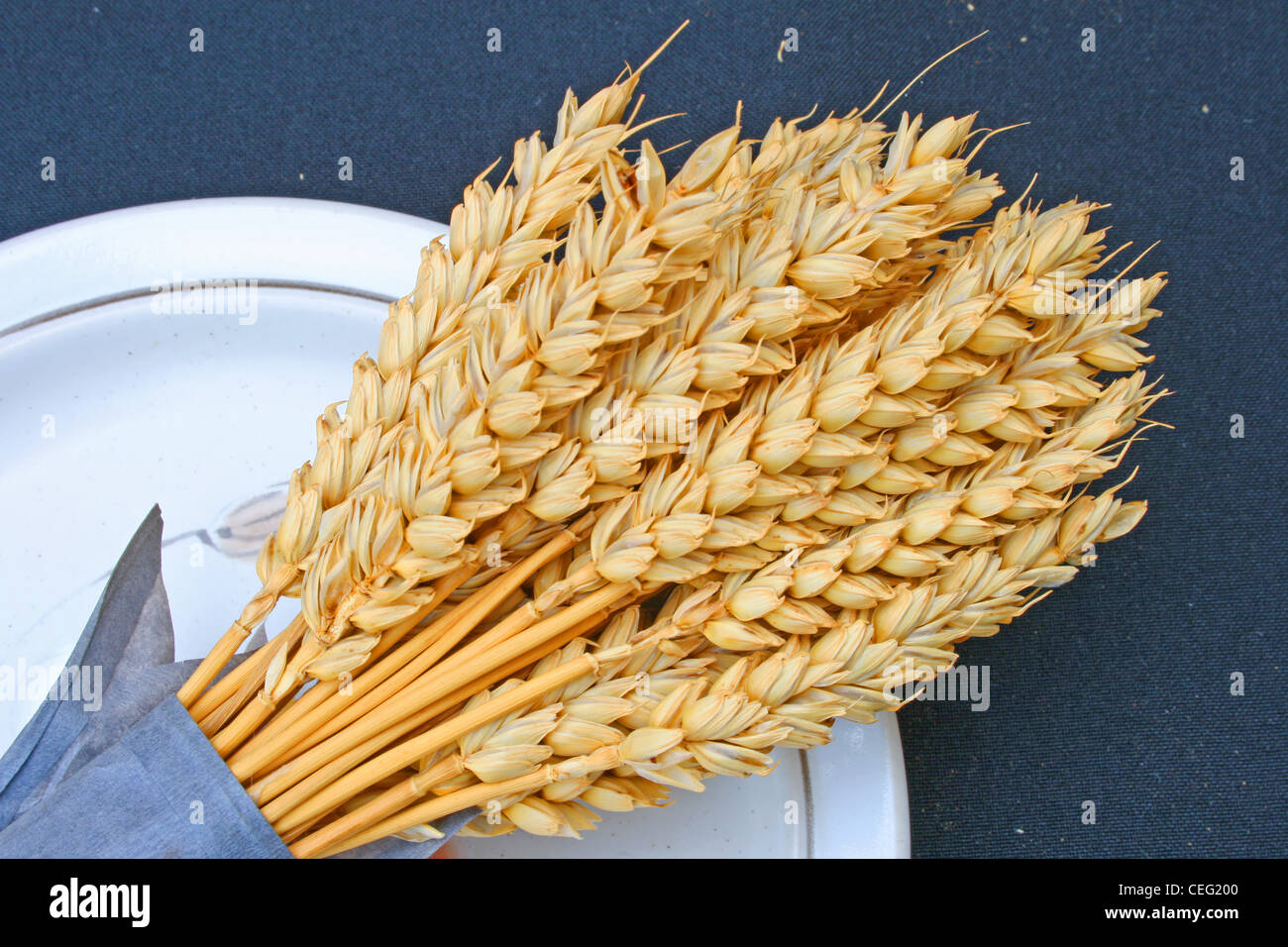 Dried wheat hi-res stock photography and images - Alamy