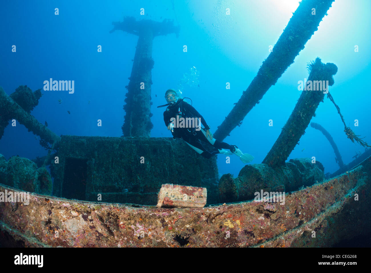 Scuba Diver at Maldive Victory Wreck, North Male Atoll, Indian Ocean ...