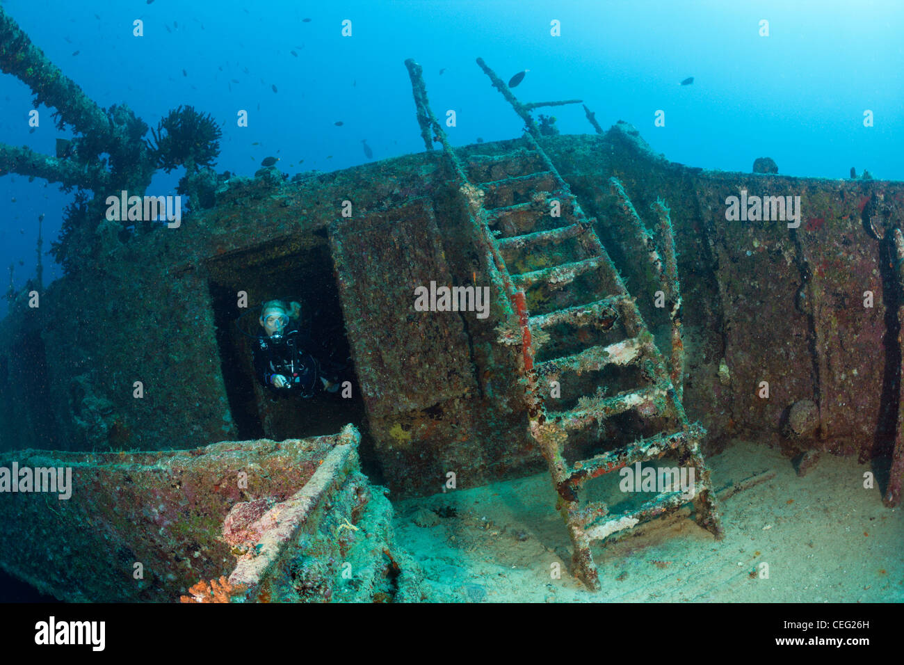Scuba Diver at Maldive Victory Wreck, North Male Atoll, Indian Ocean ...