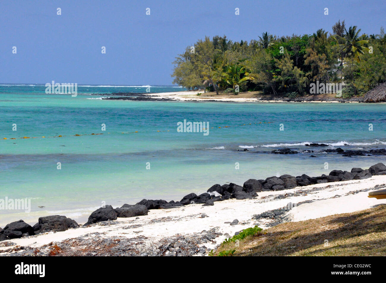 Sub tropical hi-res stock photography and images - Alamy