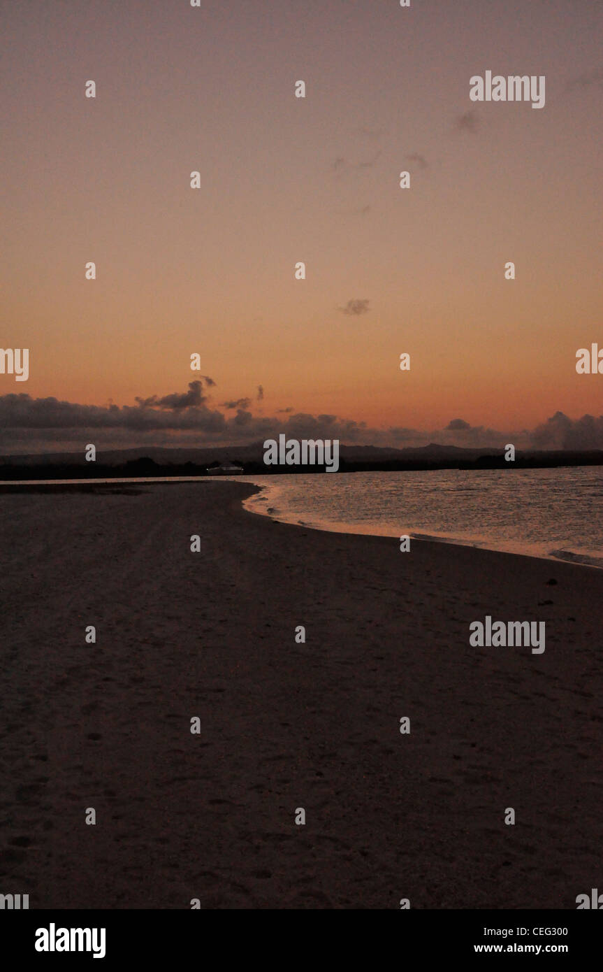 Sub tropical beach at dusk pink pastel tones reflective sea Stock Photo ...