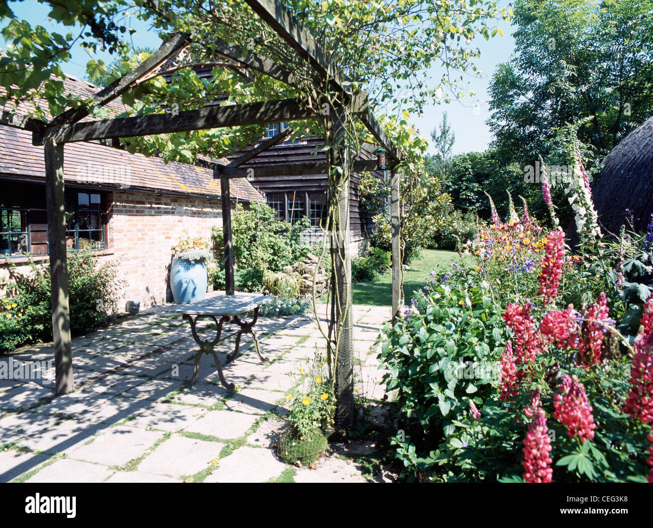 Pink foxgloves in border beside path below rustic wooden pergola in ...