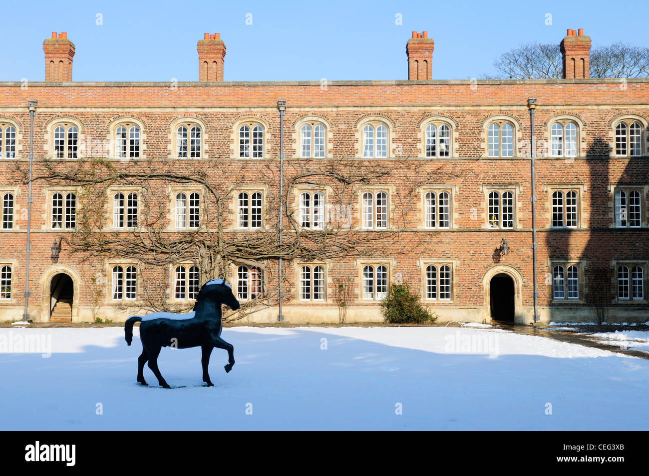 Jesus college horse hi-res stock photography and images - Alamy