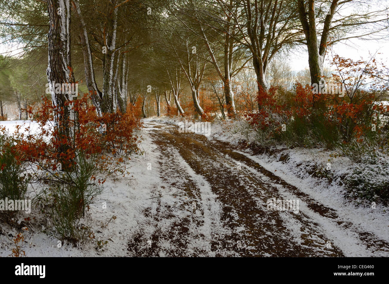 A snowy landscape in Tuscany Stock Photo - Alamy