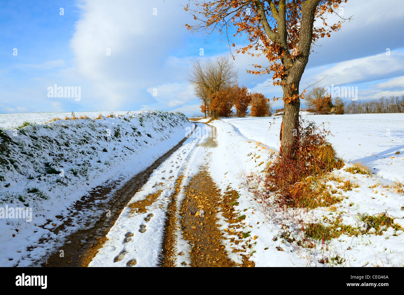A snowy landscape in Tuscany Stock Photo - Alamy