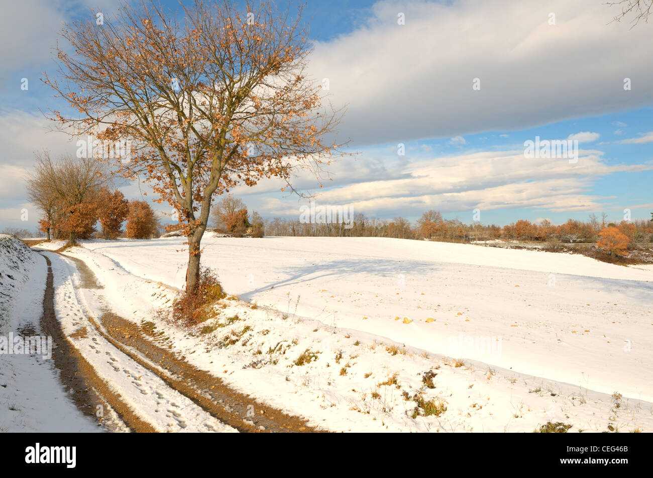 A snowy landscape in Tuscany Stock Photo - Alamy