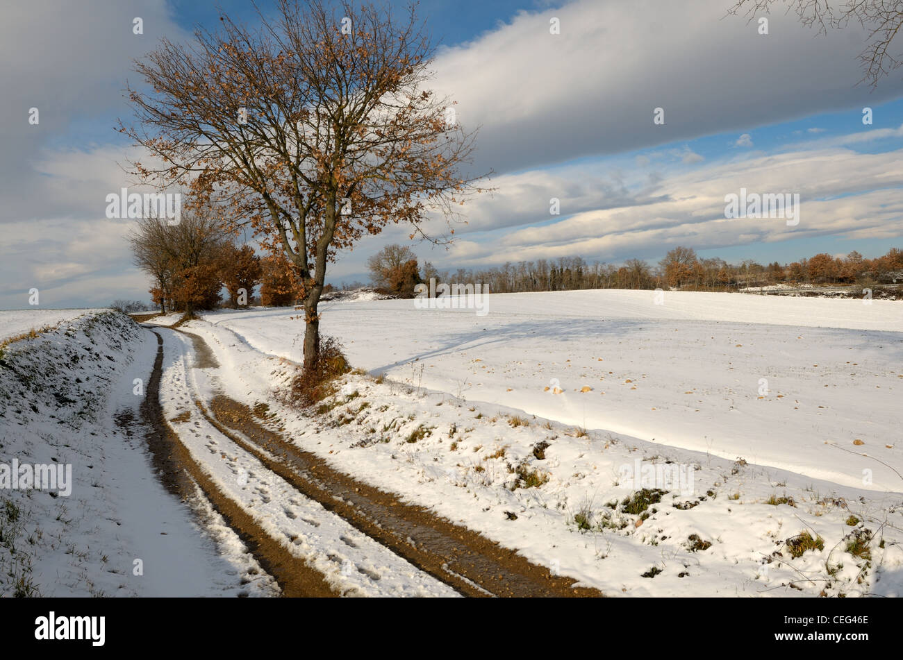 A snowy landscape in Tuscany Stock Photo - Alamy