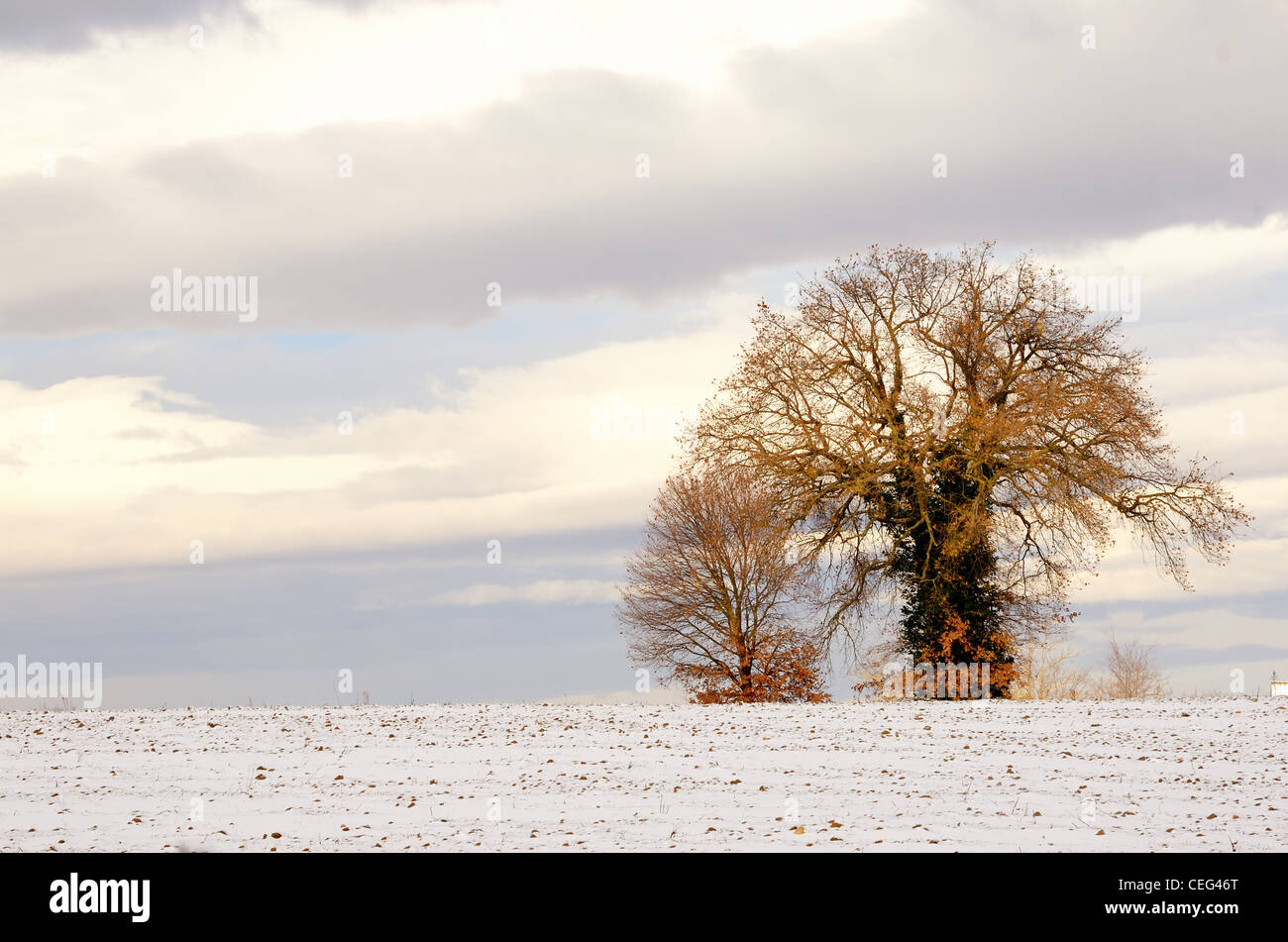 A snowy landscape in Tuscany Stock Photo - Alamy