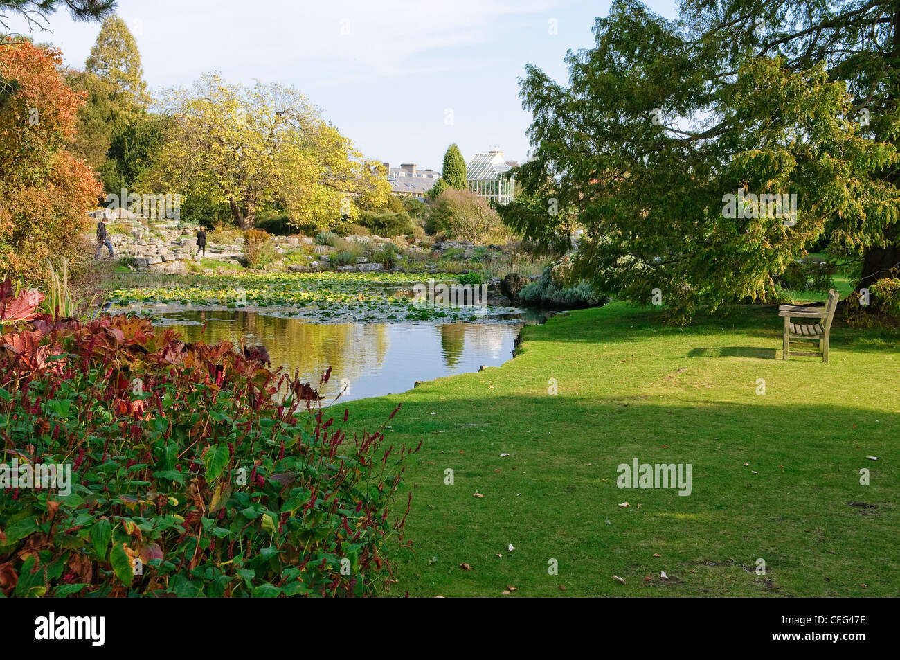 Lake in Cambridge Botanic Garden, Cambridge, UK Stock Photo - Alamy