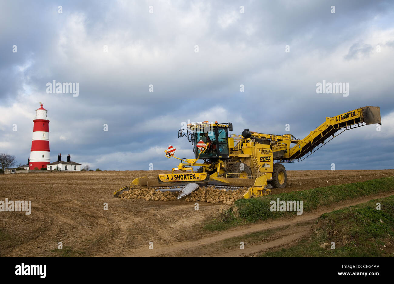 ROPA EURO MAUS 3 Sugar Beet loader & cleaner in Norfolk against a ...
