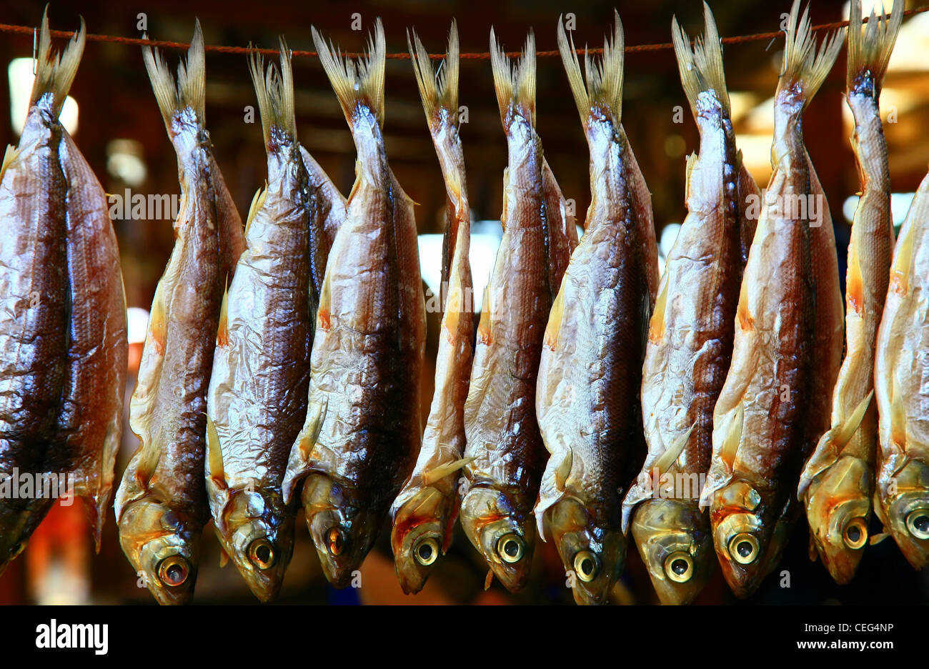 Group of dried fishes hang on pegs Stock Photo - Alamy