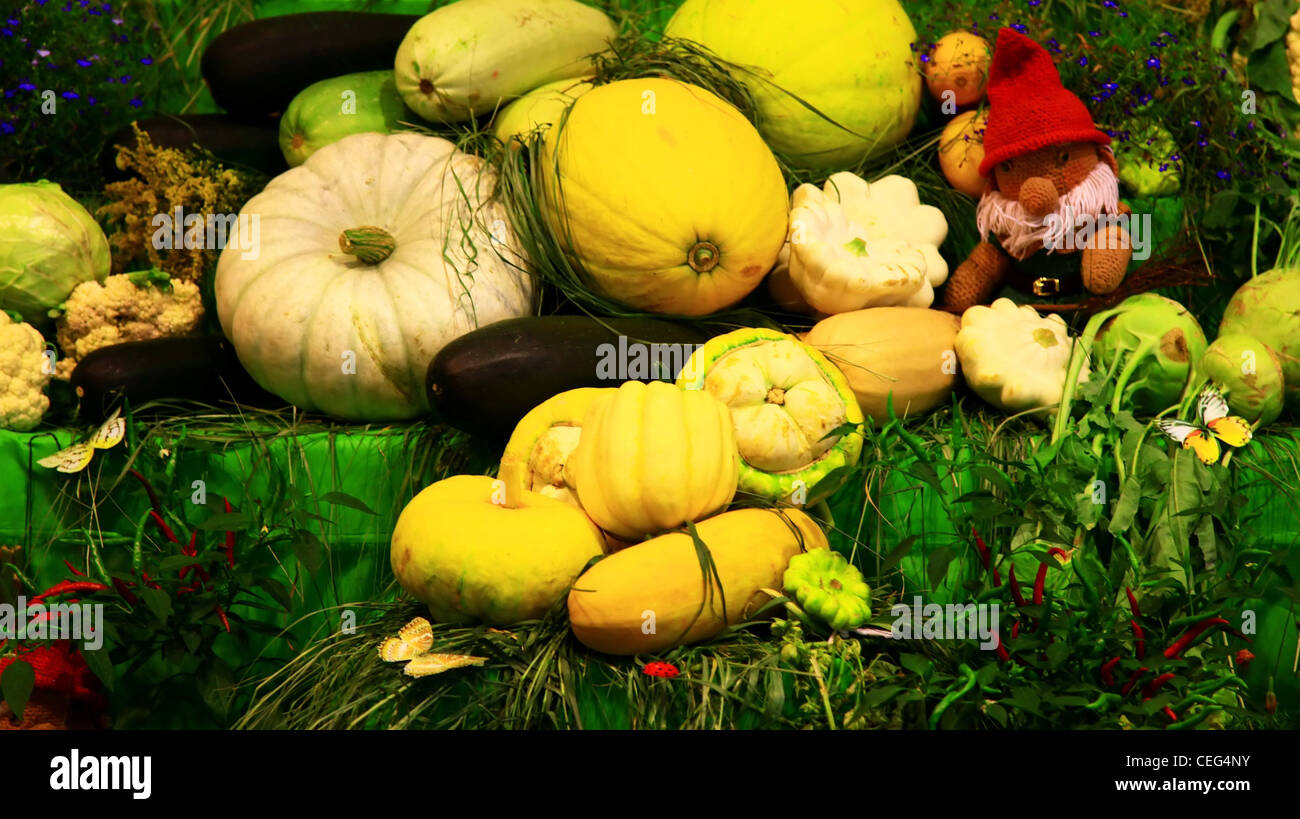 Heap of vegetables. Close up, front view Stock Photo - Alamy