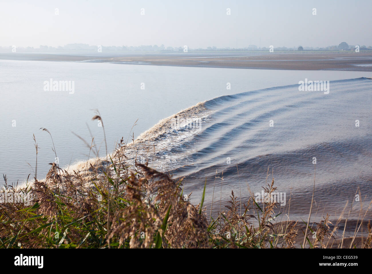 The Severn Bore flowing past on the River Severn near Westbury-on ...