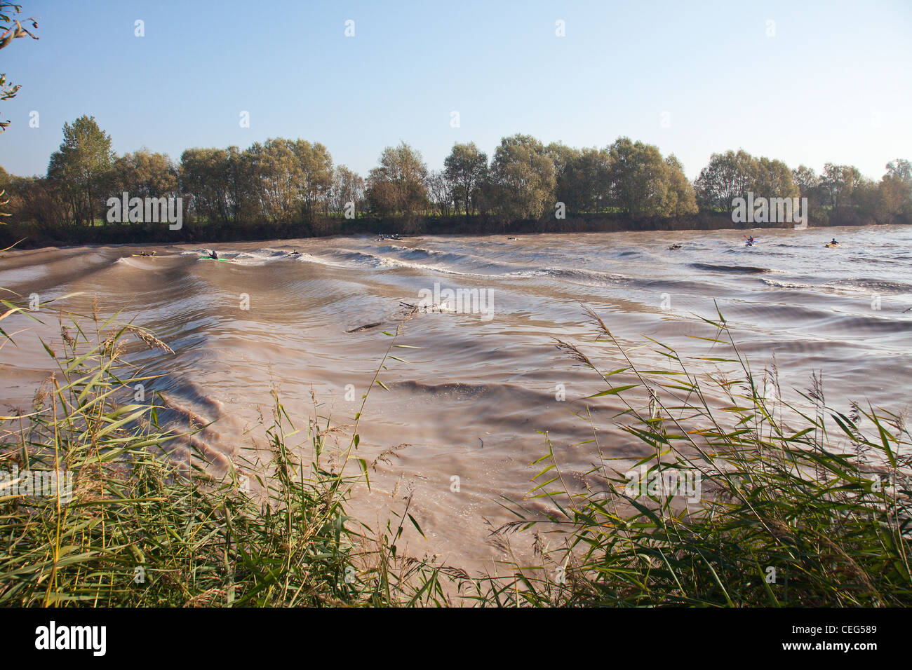 Severn bore surfers hi-res stock photography and images - Alamy