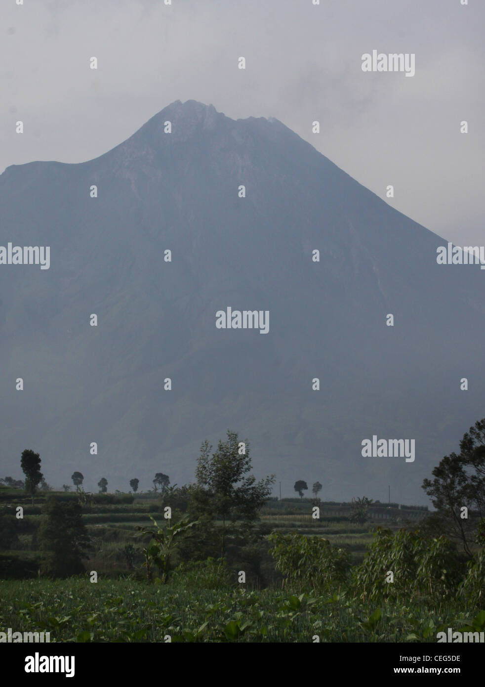 vegetable farm fields Mt Merapi Yogyakarta Indonesia Stock Photo - Alamy