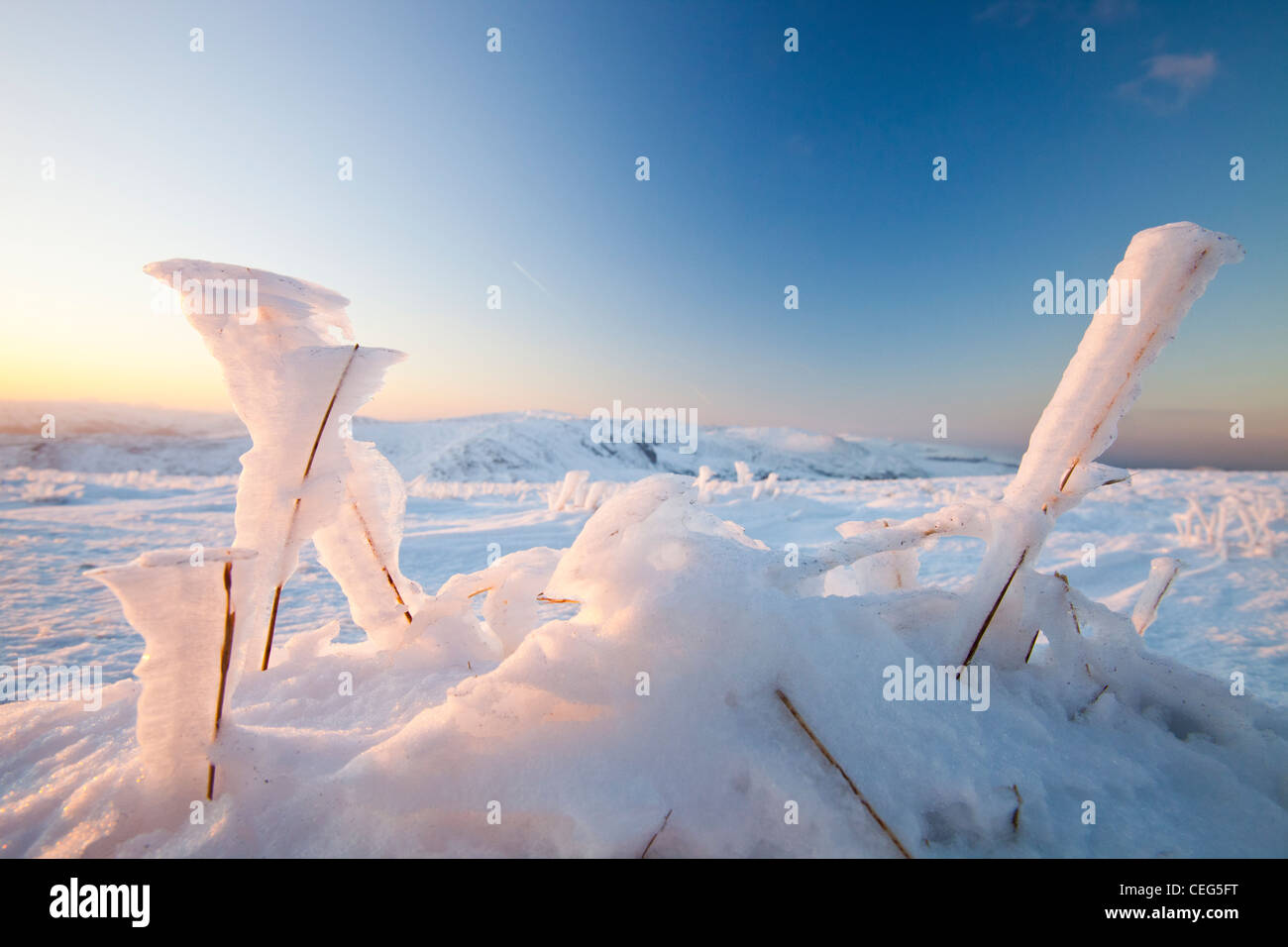 Hoare frost on grass on Red Screes in the Lake District, UK Stock Photo ...