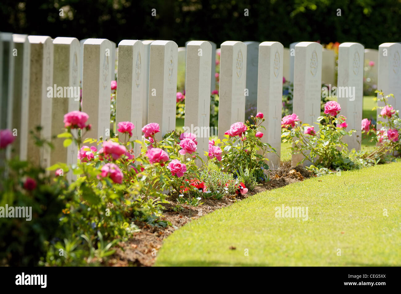 World war two graves hi-res stock photography and images - Alamy