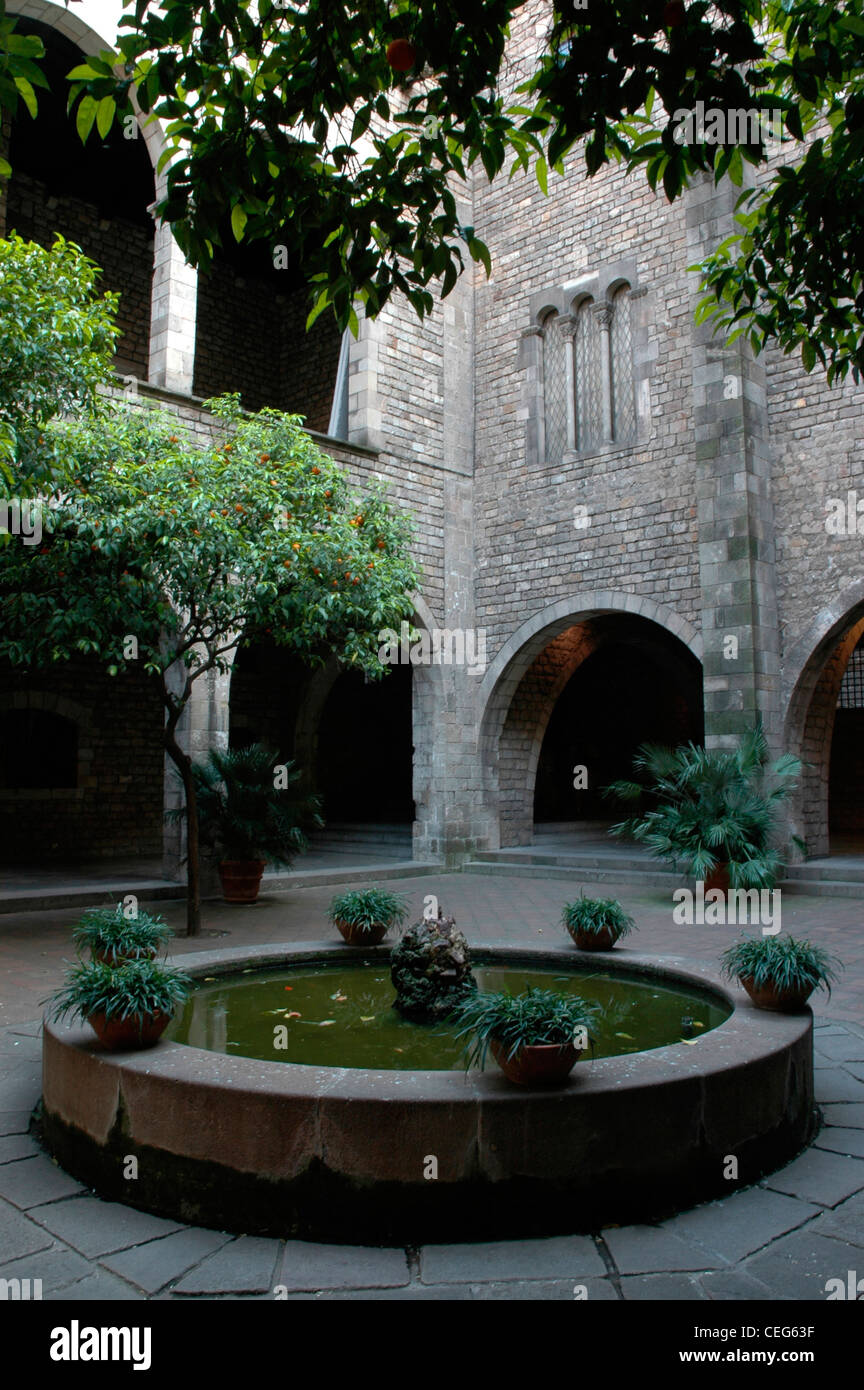 Courtyard in Barcelona with orange tree and pool Stock Photo - Alamy