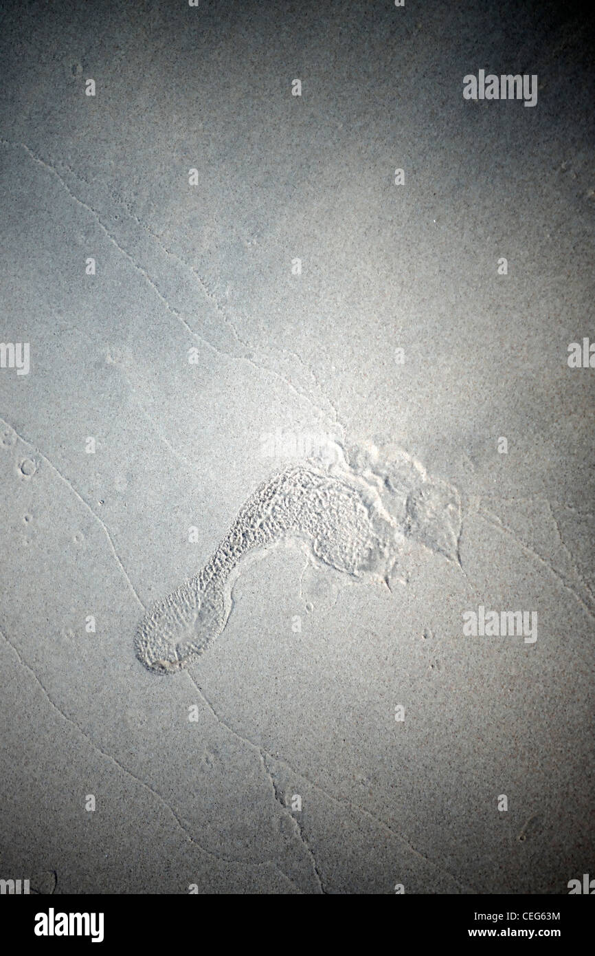 human footprint in sand on the beach Stock Photo - Alamy