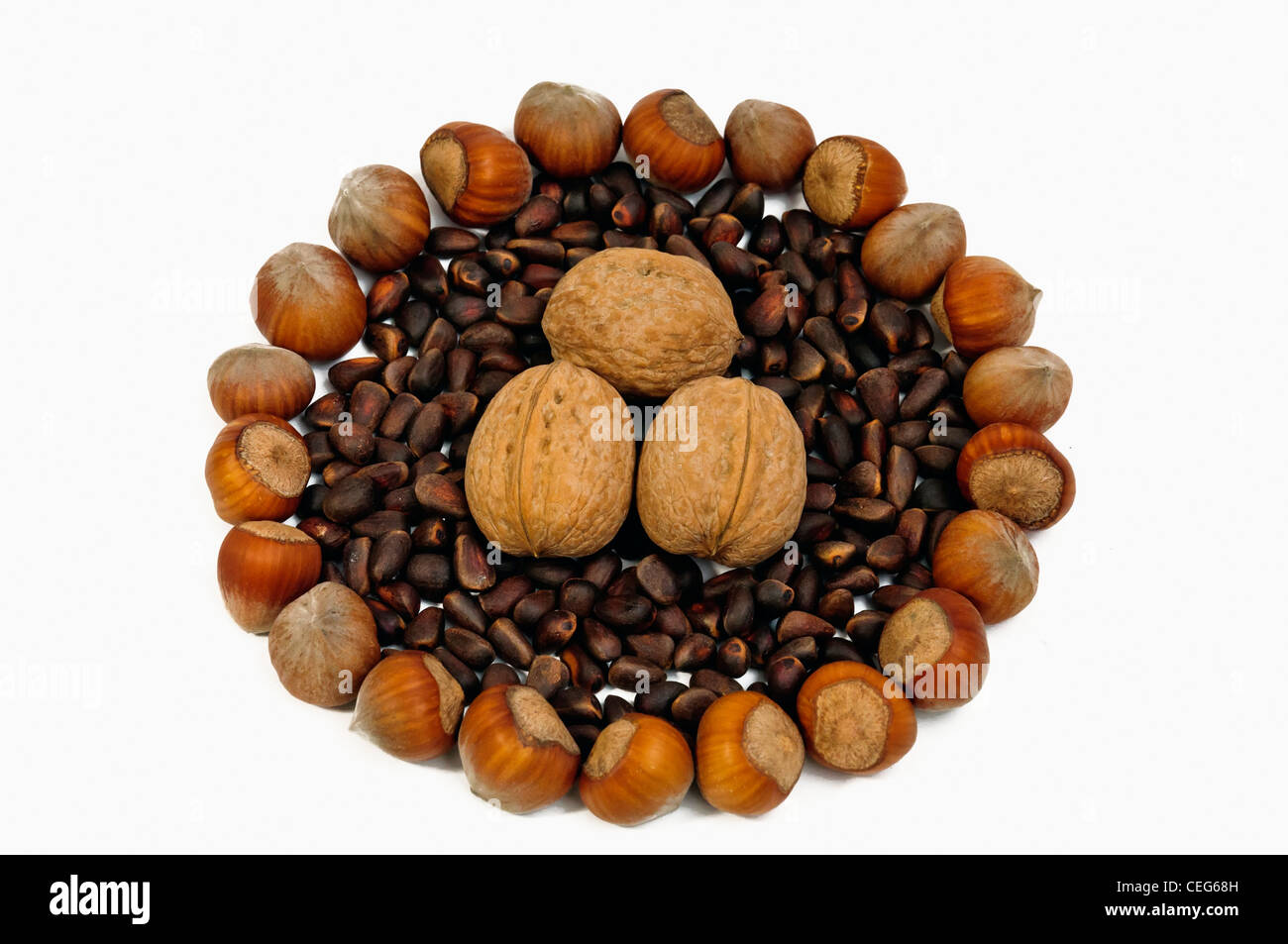 handful of fresh hazelnuts filled up among the pine nuts, isolated on ...