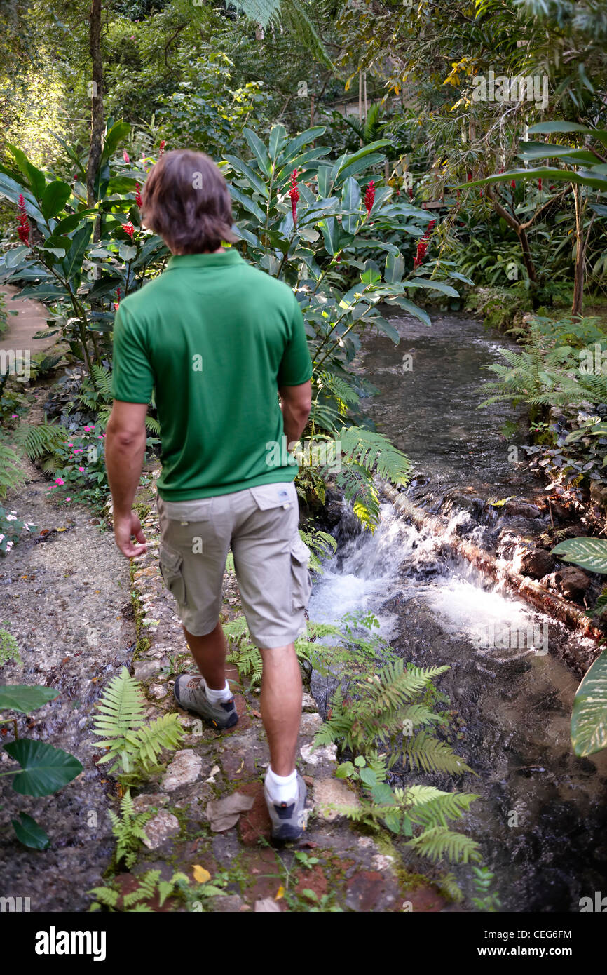 man walking a path beside a stream in the jungle Stock Photo - Alamy