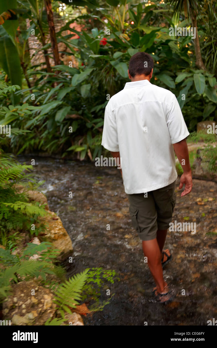 man walking through stream in jungle photographed from behind Stock ...