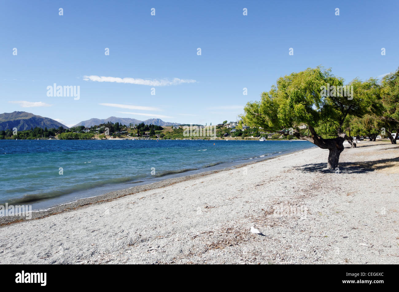The lake Wanaka Beach, Wanaka New Zealand Stock Photo - Alamy