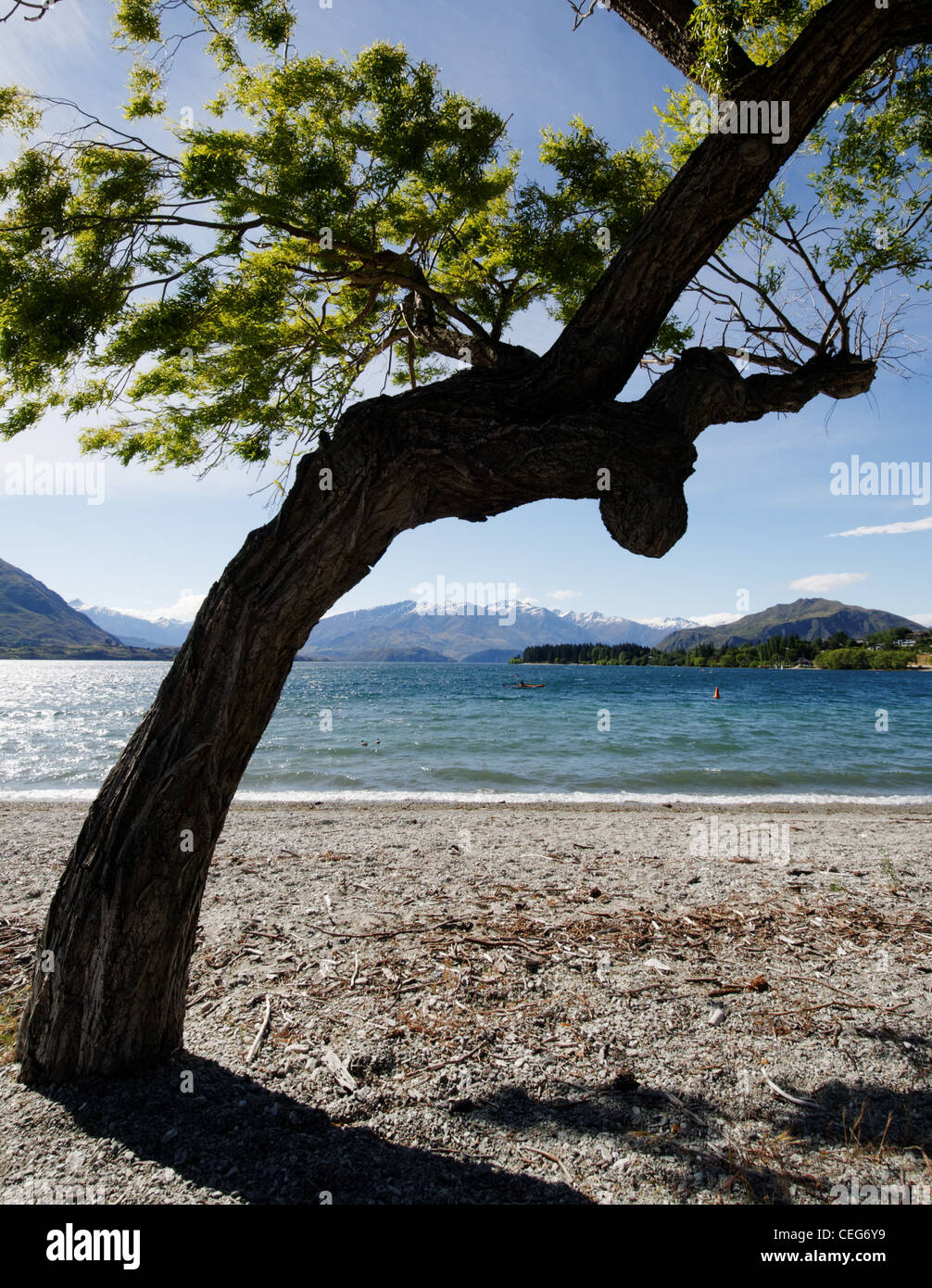 The lake Wanaka Beach, Wanaka New Zealand Stock Photo - Alamy