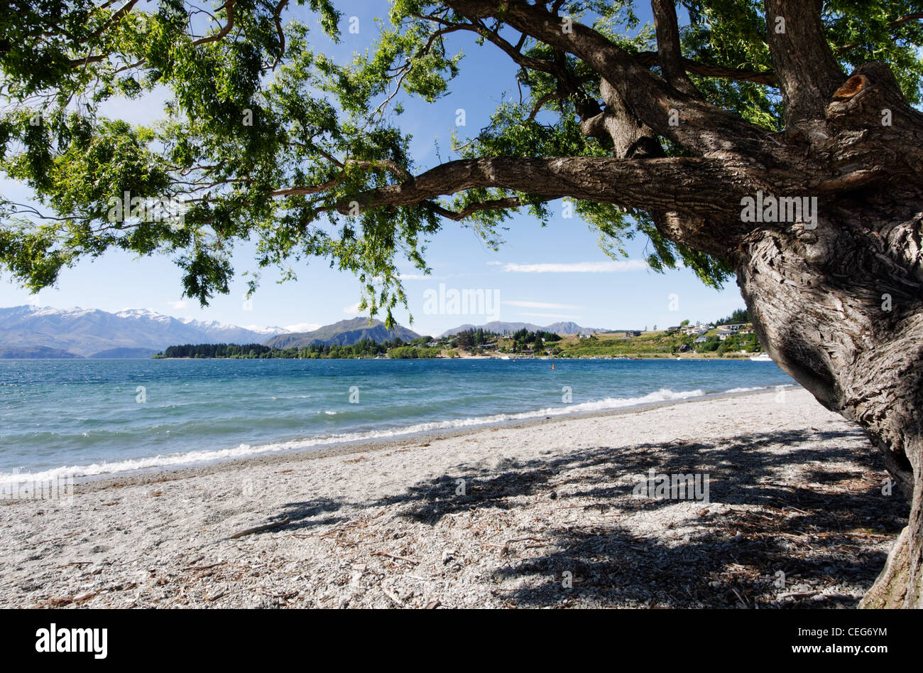 The lake Wanaka Beach, Wanaka New Zealand Stock Photo - Alamy