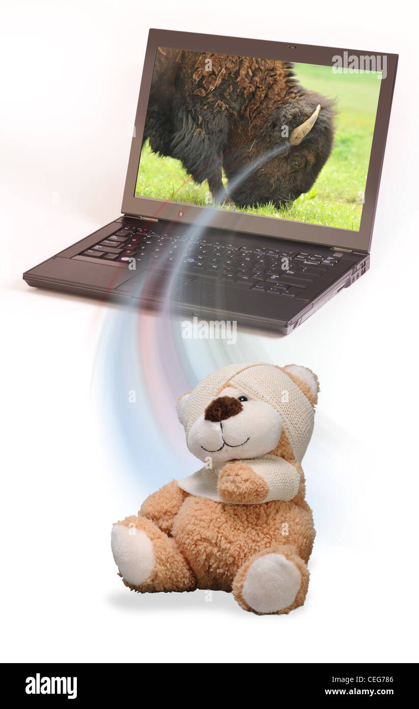 Laptop wilderness Cut Out Stock Images & Pictures - Alamy