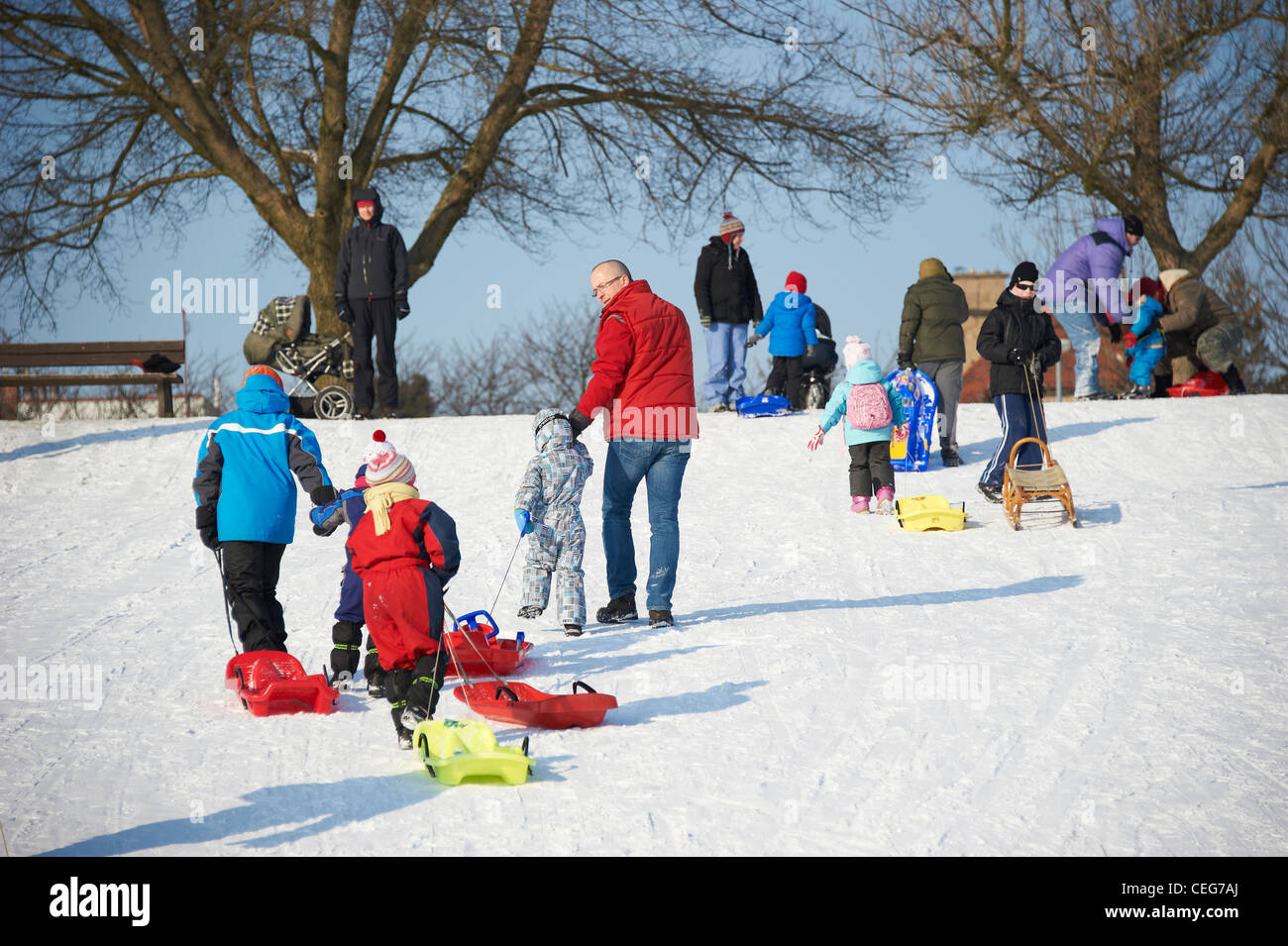 A children sledding downhill winter Stock Photo - Alamy